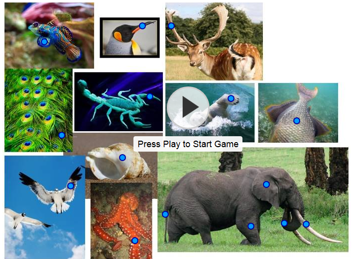 Matching game: Animal body parts (3rd grade) | English with Antonio