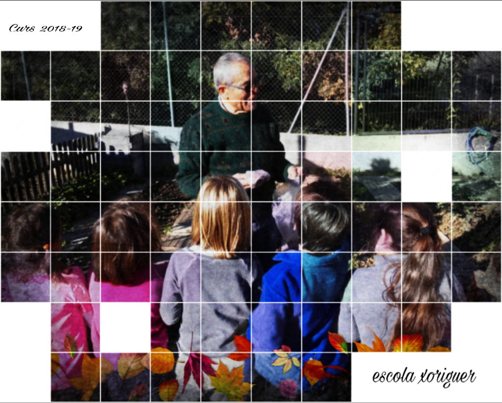 EL NOSTRE HORT ESCOLAR – Néixer per a existir. Existir per a experimentar. Experimentar per a ...