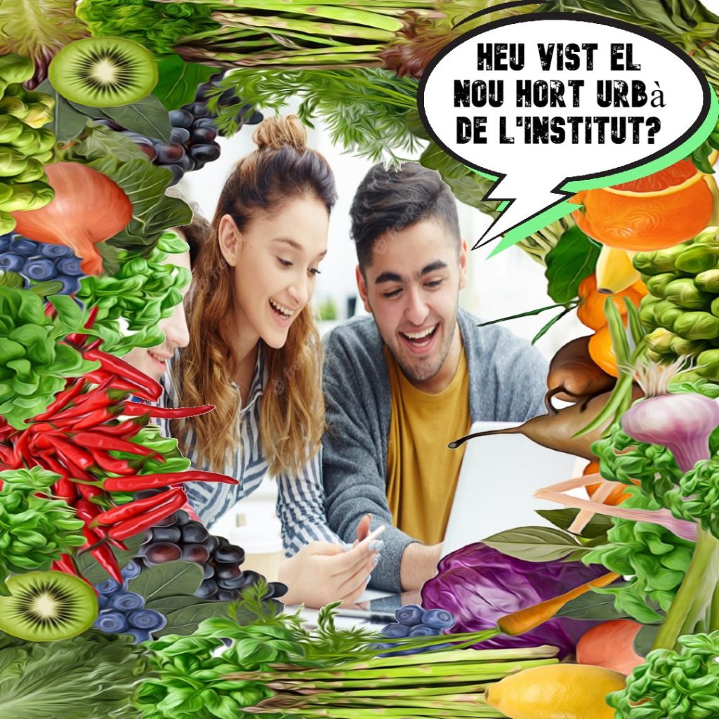 La salut comunitària, un projecte col.lectiu – XTECBlocs