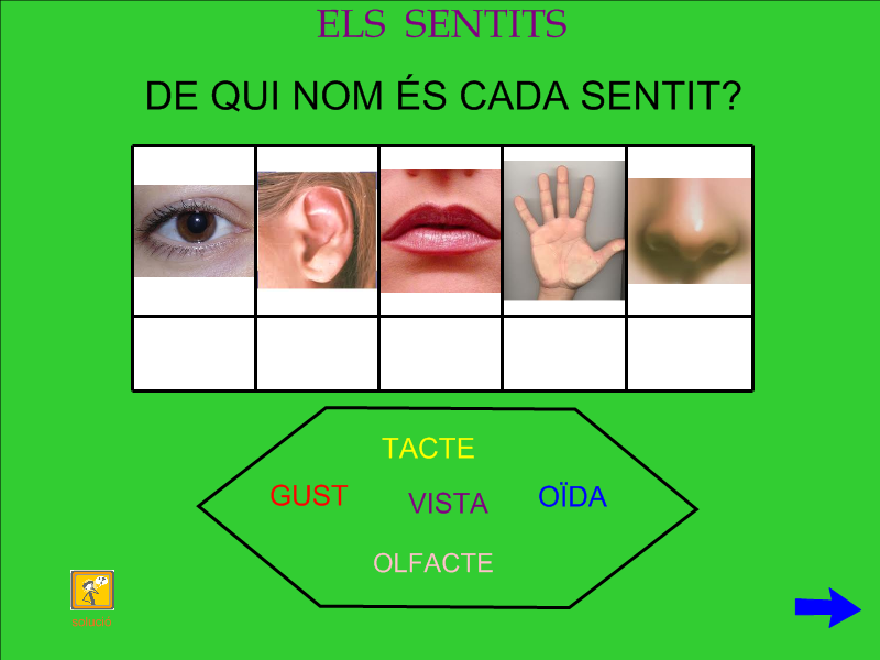 Em sento | Un altre bloc XTECBlocs