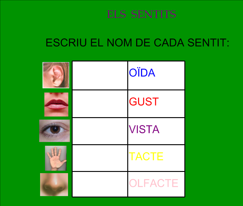 Em sento | Un altre bloc XTECBlocs