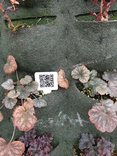 QR Codes – Engaging students through a green 3D textbook