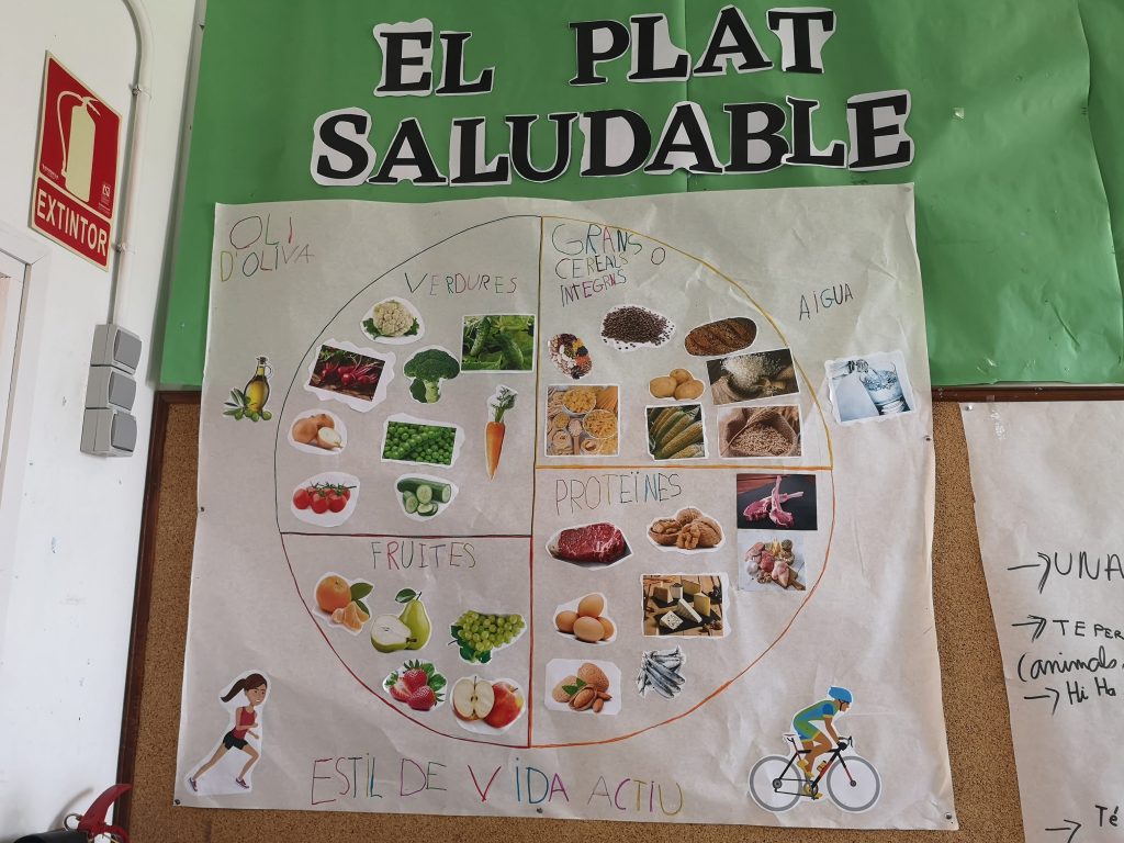 EL PLAT IDEAL PER MENJAR SALUDABLE | Blog de la classe de 3r