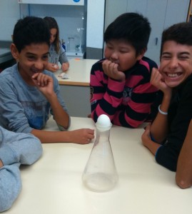 1st TERM 2015-16 | —All about my eggs—