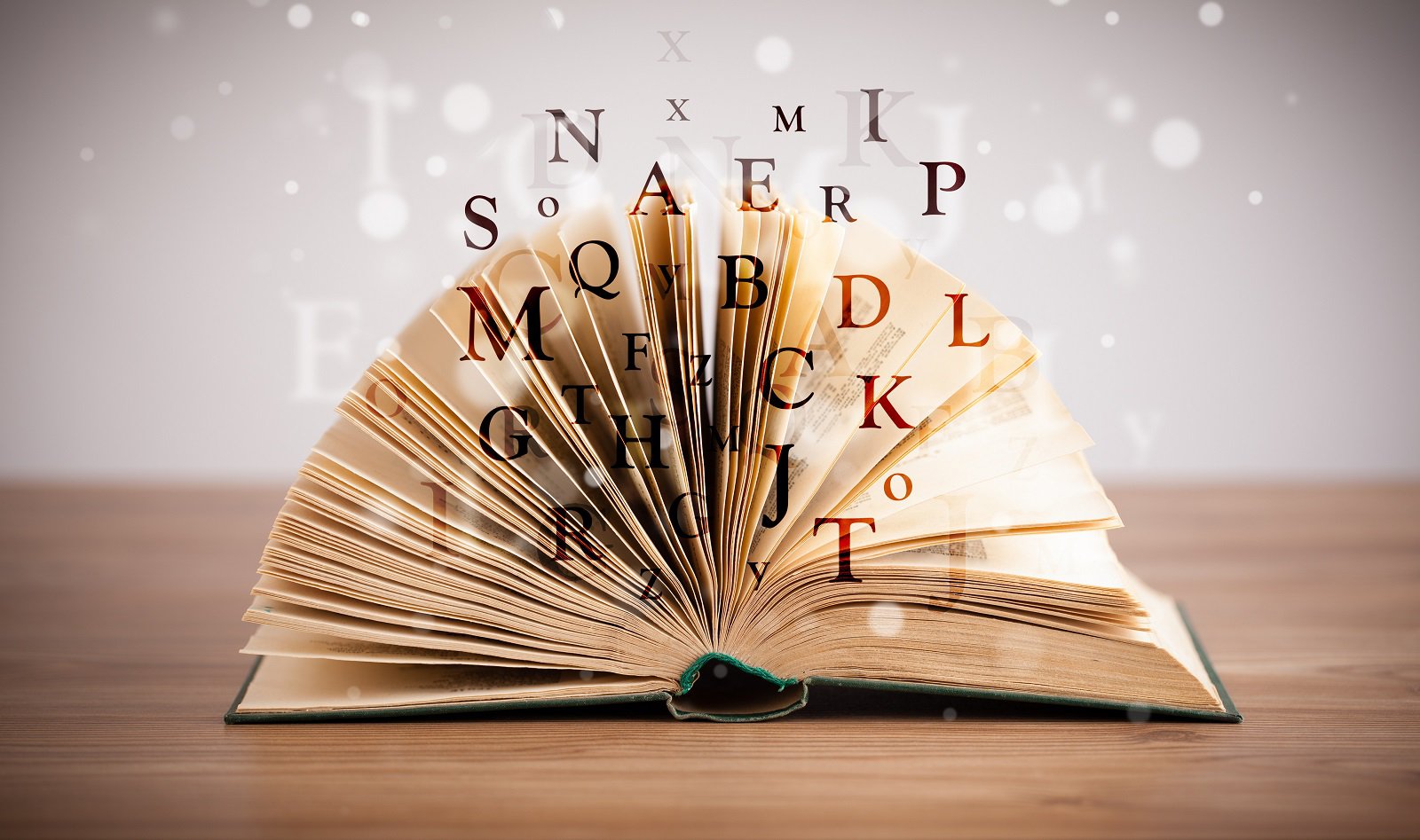 PRIMER | Biblioteca de l'escola Teresa Bergadà ALGUAIRE