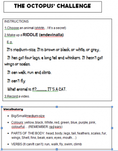 OCTOPUS’ CHALLENGE | El bloc dels Pops