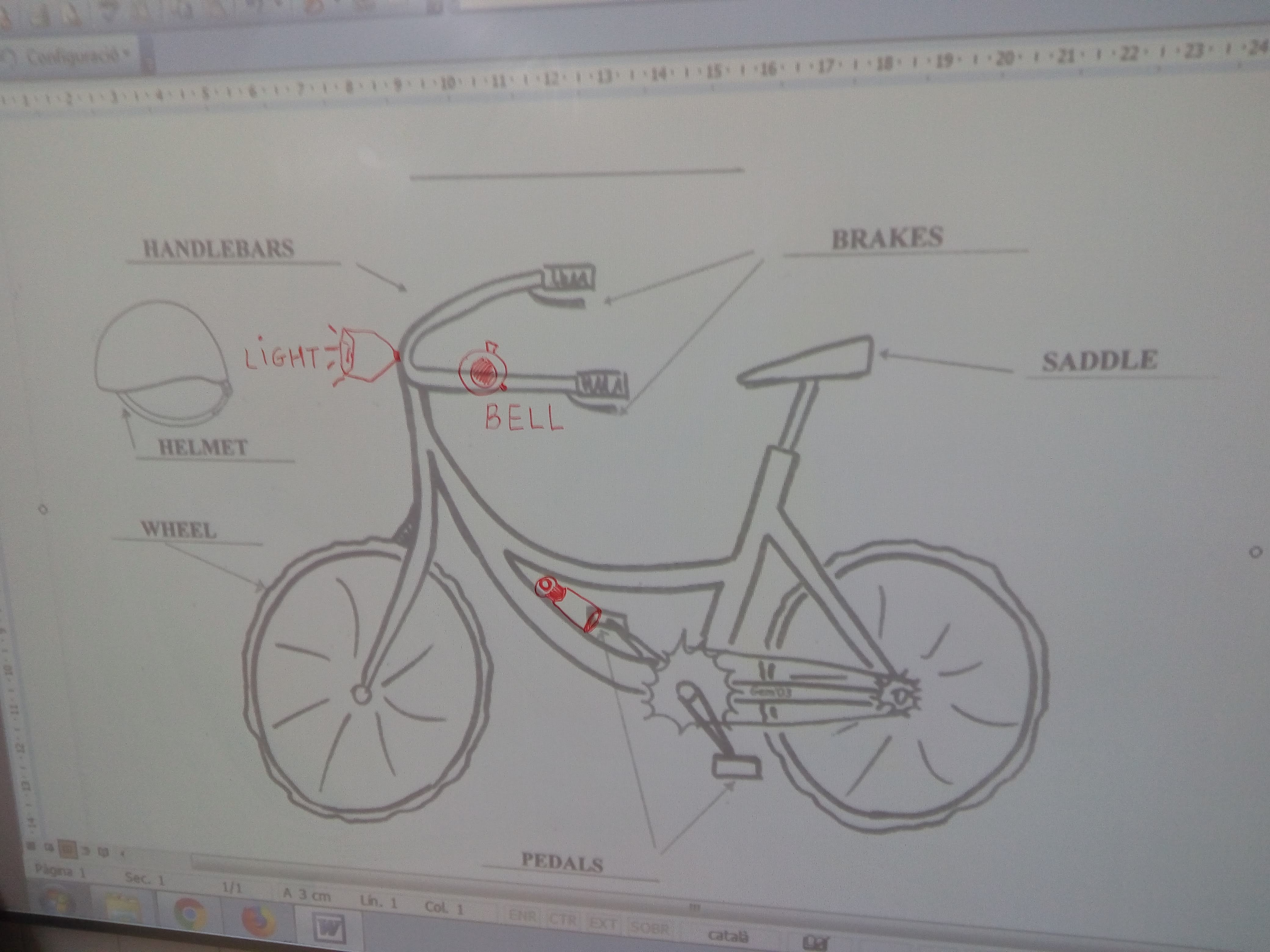 LET’S TALK ABOUT CYCLING! | Science