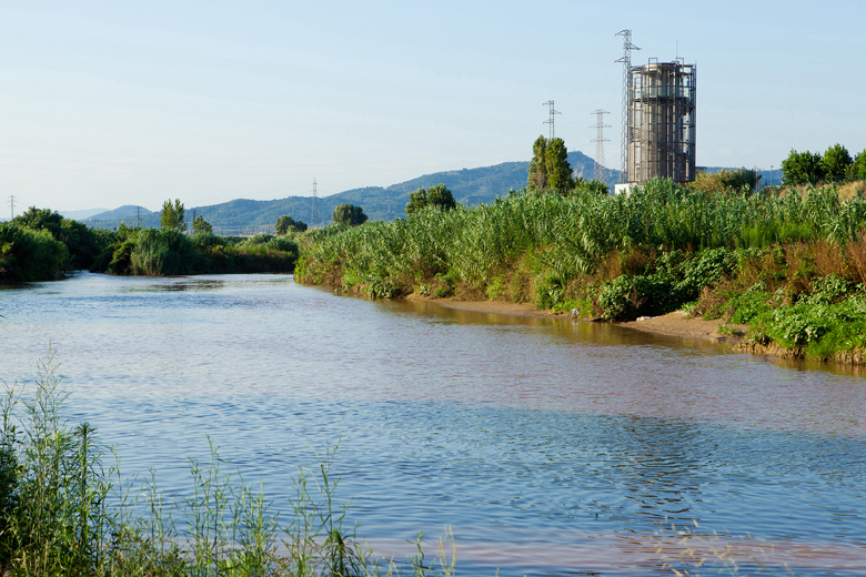 4t | Cicle Mitjà Maragall