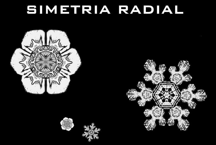 Treballem la simetria! – Simetria radial | Cicle superior – Escola ...