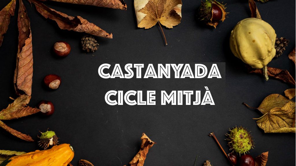 FESTA DE LA CASTANYADA