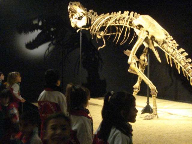 Excursió al Planetari (Cosmocaixa) | els crancs d'olesa