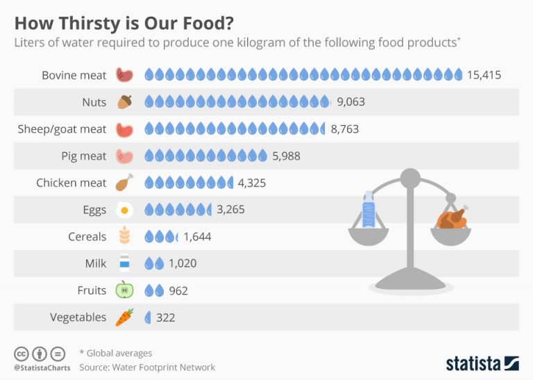 Unit 3. A Water-Wise Meal | Feeding our cities