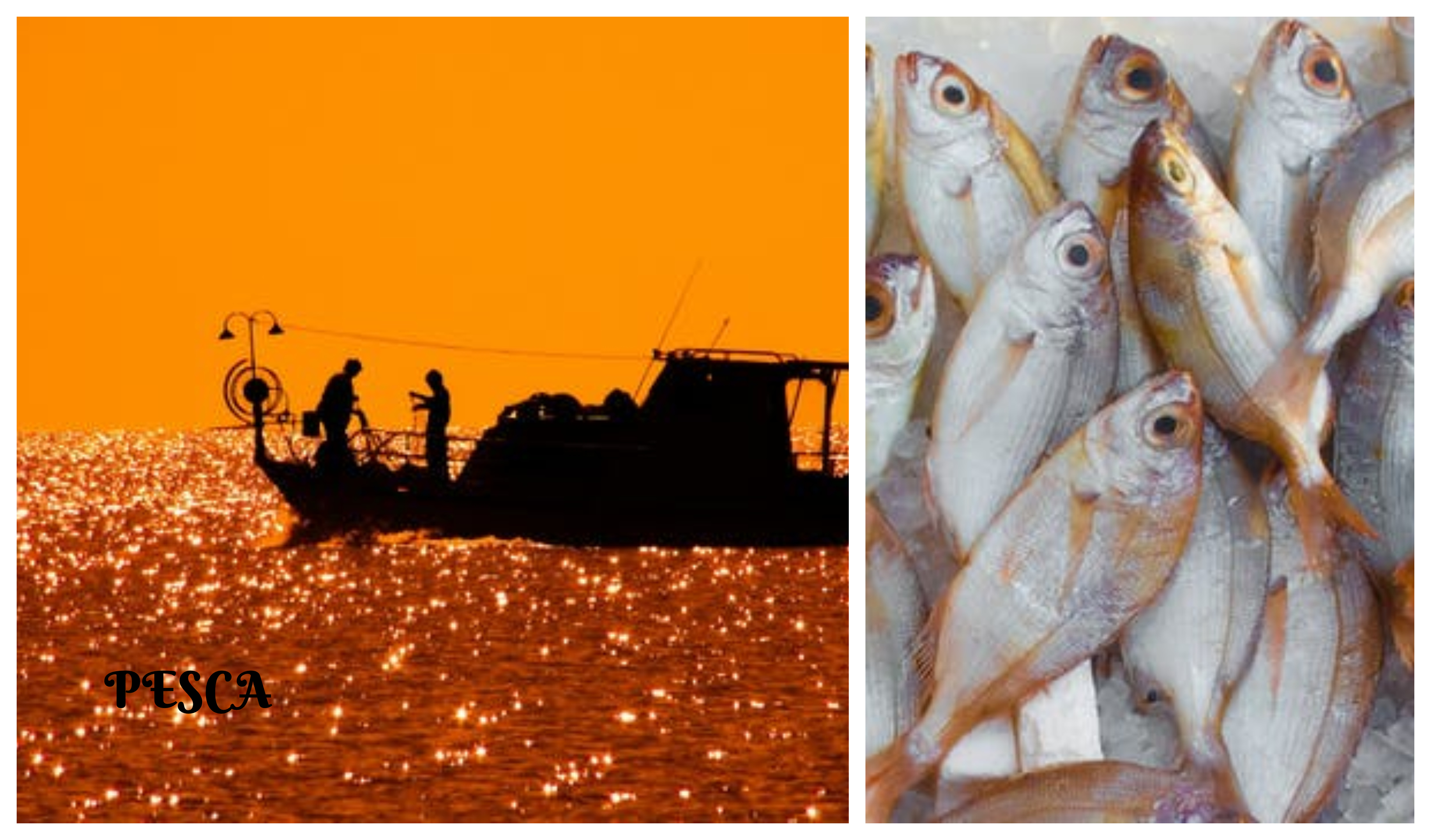 l'economia del dia a dia | Altre lloc XTECBlocs