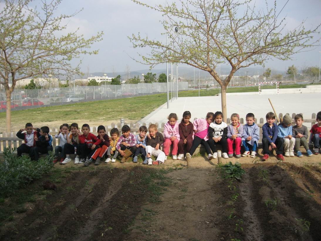 Ceip Ginesta – Educació Infantil | Un bloc a XTECBlocs | Page 2