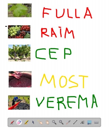 Pàgina 2: Projecció inicial “El Raïm”. – Educació Infantil TAC. Curs ...