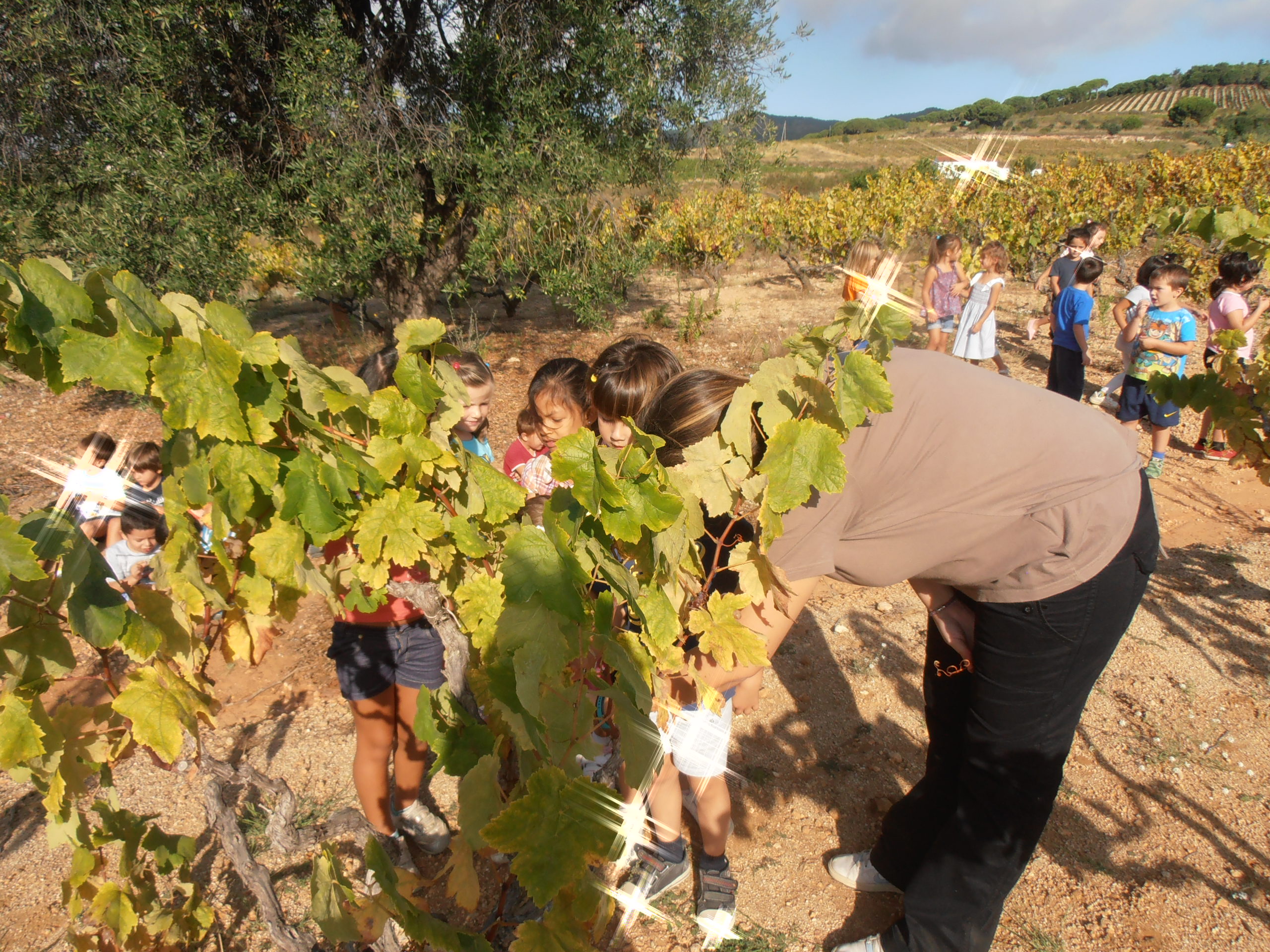 TAC a educació infantil » 2014 » novembre