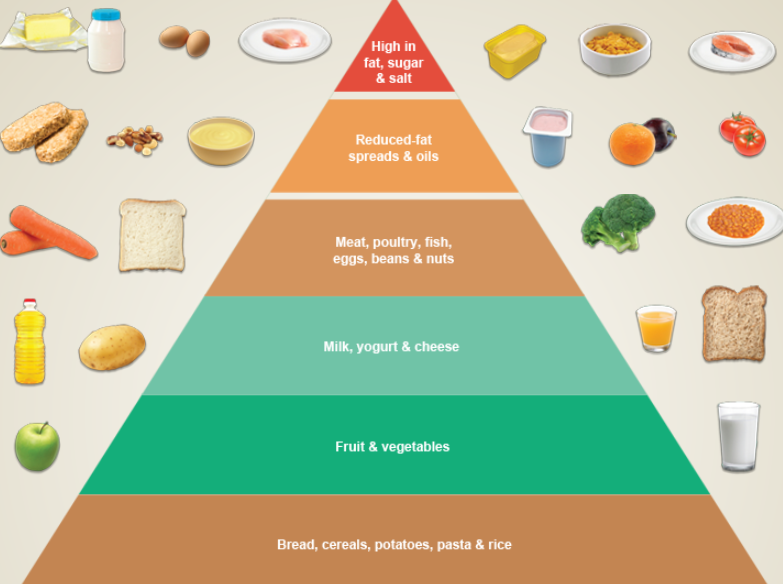 Food pyramid games | Our English blog