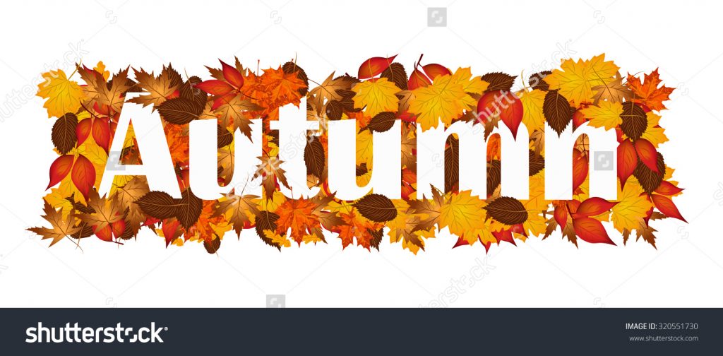 stock-vector-autumn-word-on-autumn-leaves-320551730