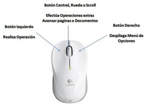 Botons del ratolí | Informàtica i TAC