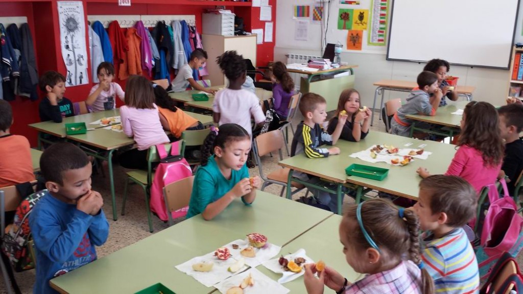 CI (1r/2n) | Escola Riu Segre