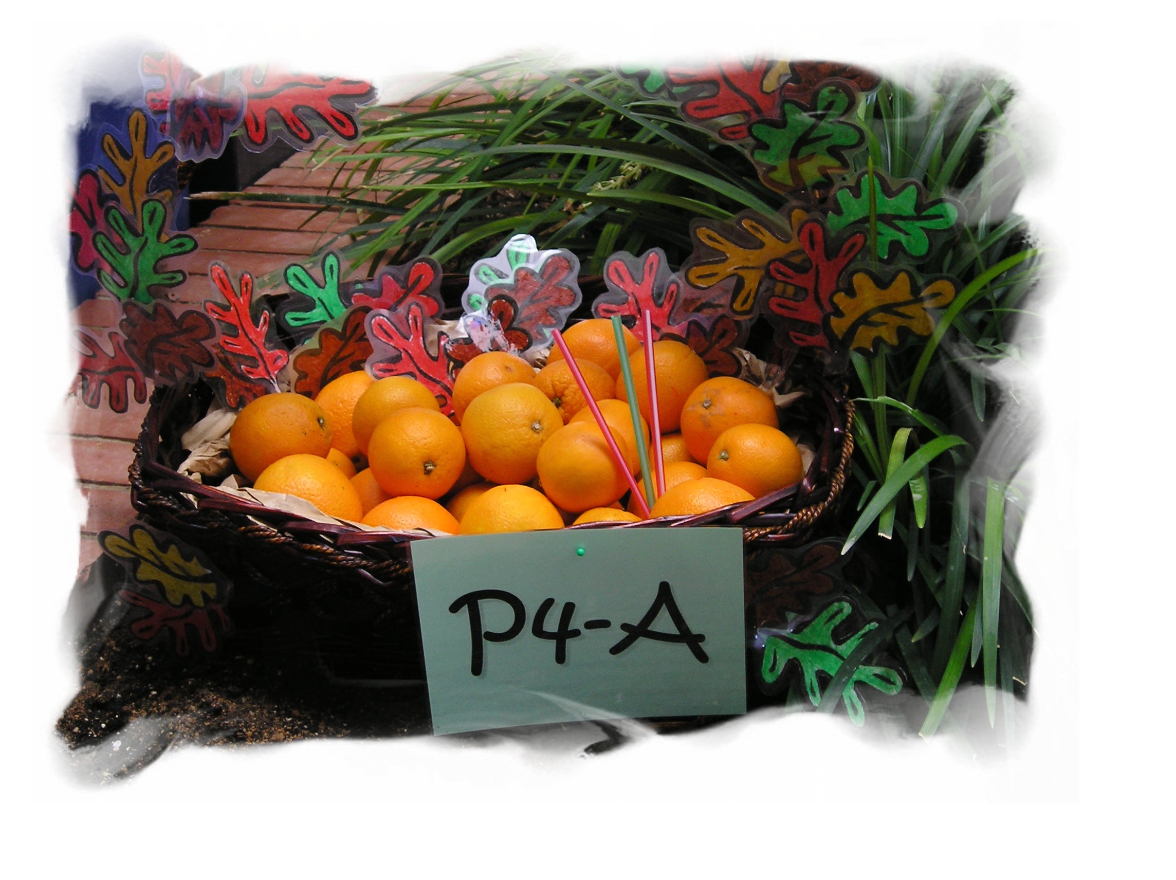 Quines festes celebrem? | Quines festes celebrem?