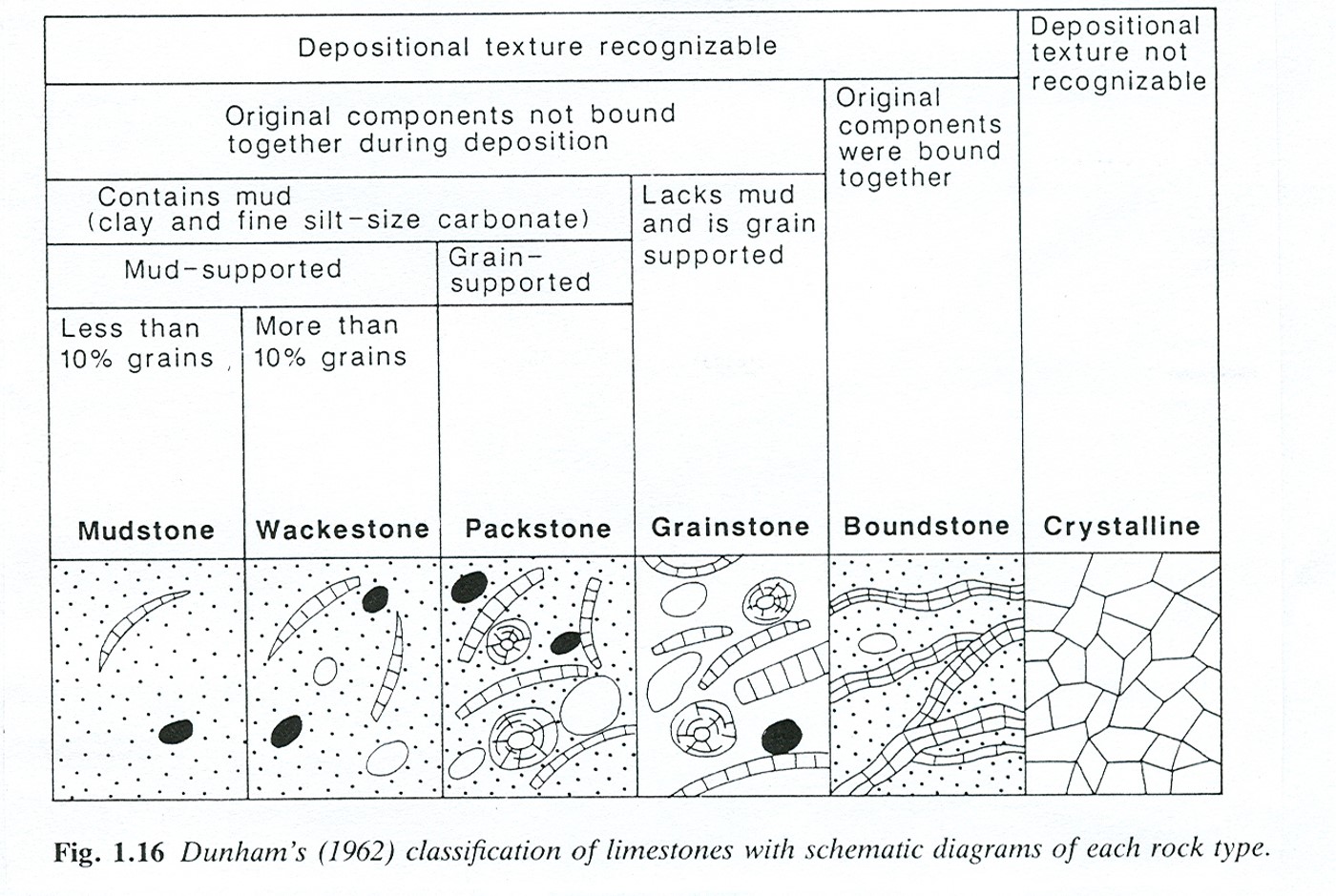 Els ambients sedimentaris i les roques sedimentàries | La geologia és ...