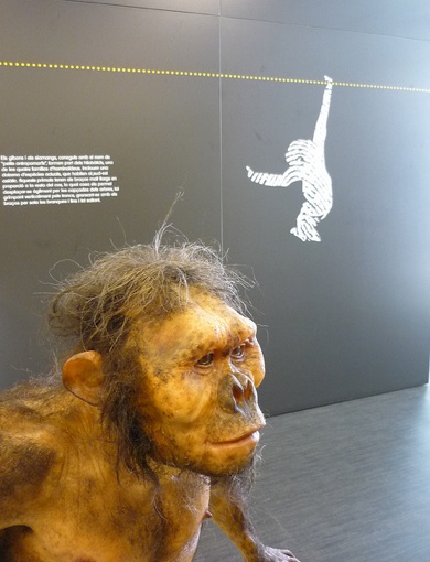 The ESO4 science pupils visited the Institut Català de Paleontologia ...