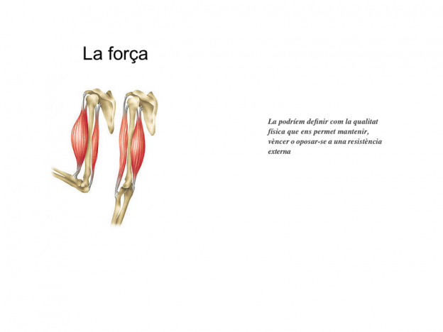 Les QFB | L'espai XTEC de Josep Forcadell
