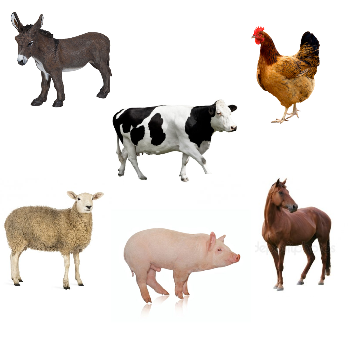 Endevina quin animal sona! | La maleta dels petits