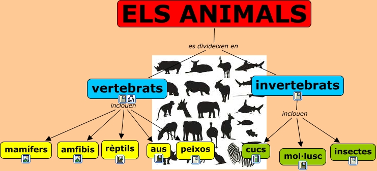 COM SÓN ELS ANIMALS | Tercers curs 15/16
