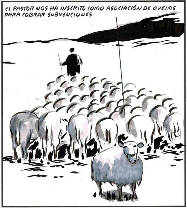 ESPAÑOL | LA VIOLENCIA Y EL GREGARISMO. ¡ANIMALES!
