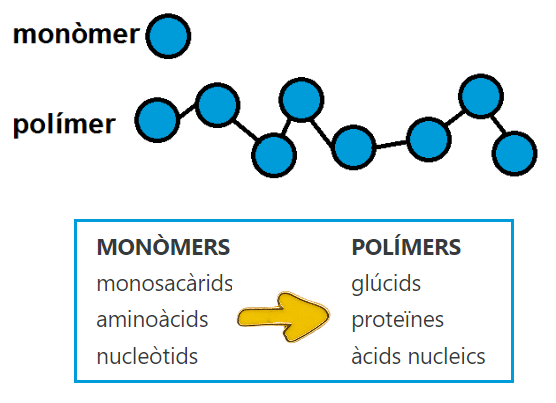 1. La matèria viva | Naturalsom