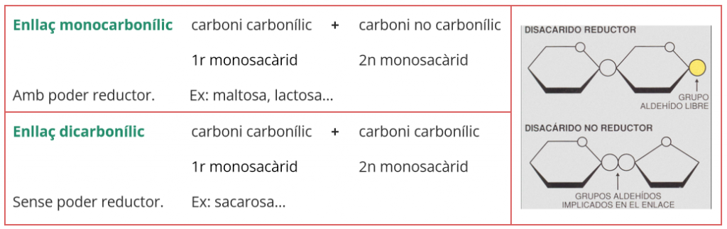 3. Els glúcids | Naturalsom