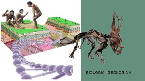 Recursos per a 4t d’ESO – Portafolis de Biologia i Geologia