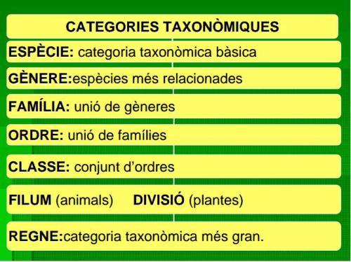 Treball per projectes 1r ESO A Institut Joan Oró