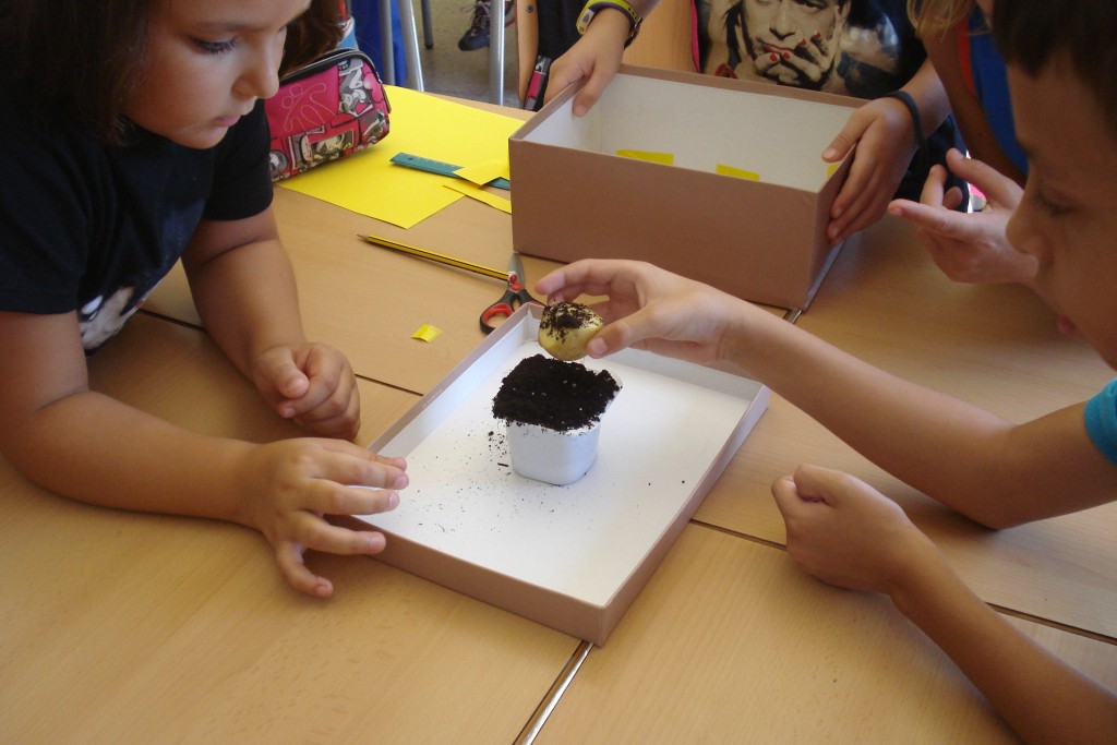 Experiments de CM | Sant Feliu de llobregat