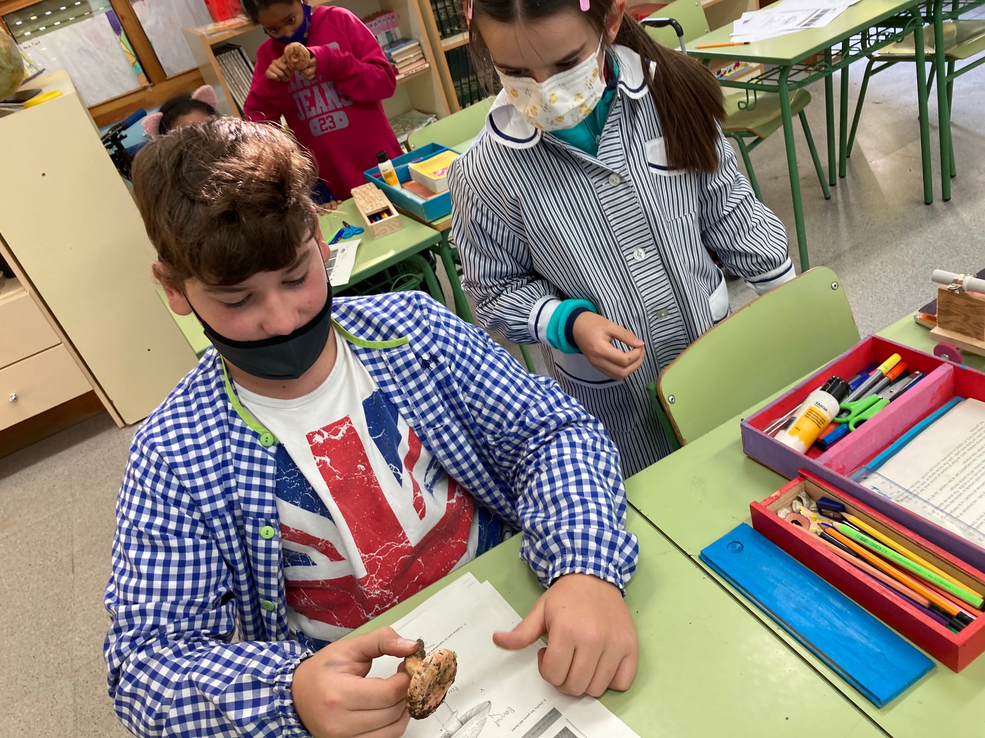 DIARI DE CURS | EL ROVELLÓ,UN BOLET MOLT NOSTRE.