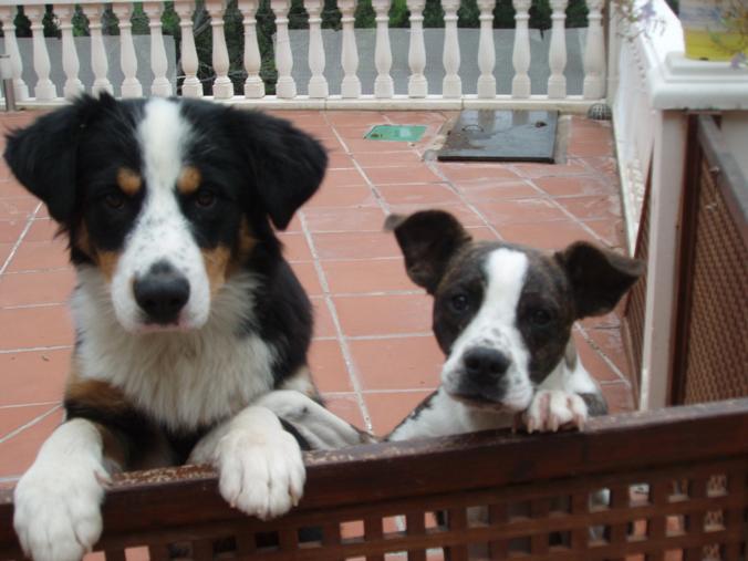 novembre | 2010 | TEXTOS LITERARIS DEL CEIP AURORA