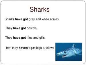 Tongue twister | Altre lloc XTECBlocs