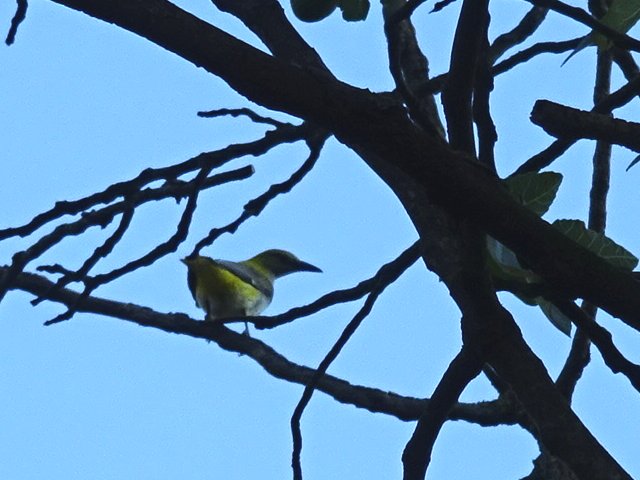 112.- OBSERVACIÓ | troballes