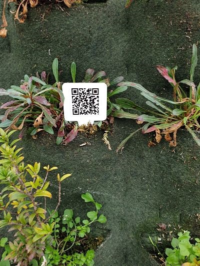 QR Codes – Engaging students through a green 3D textbook